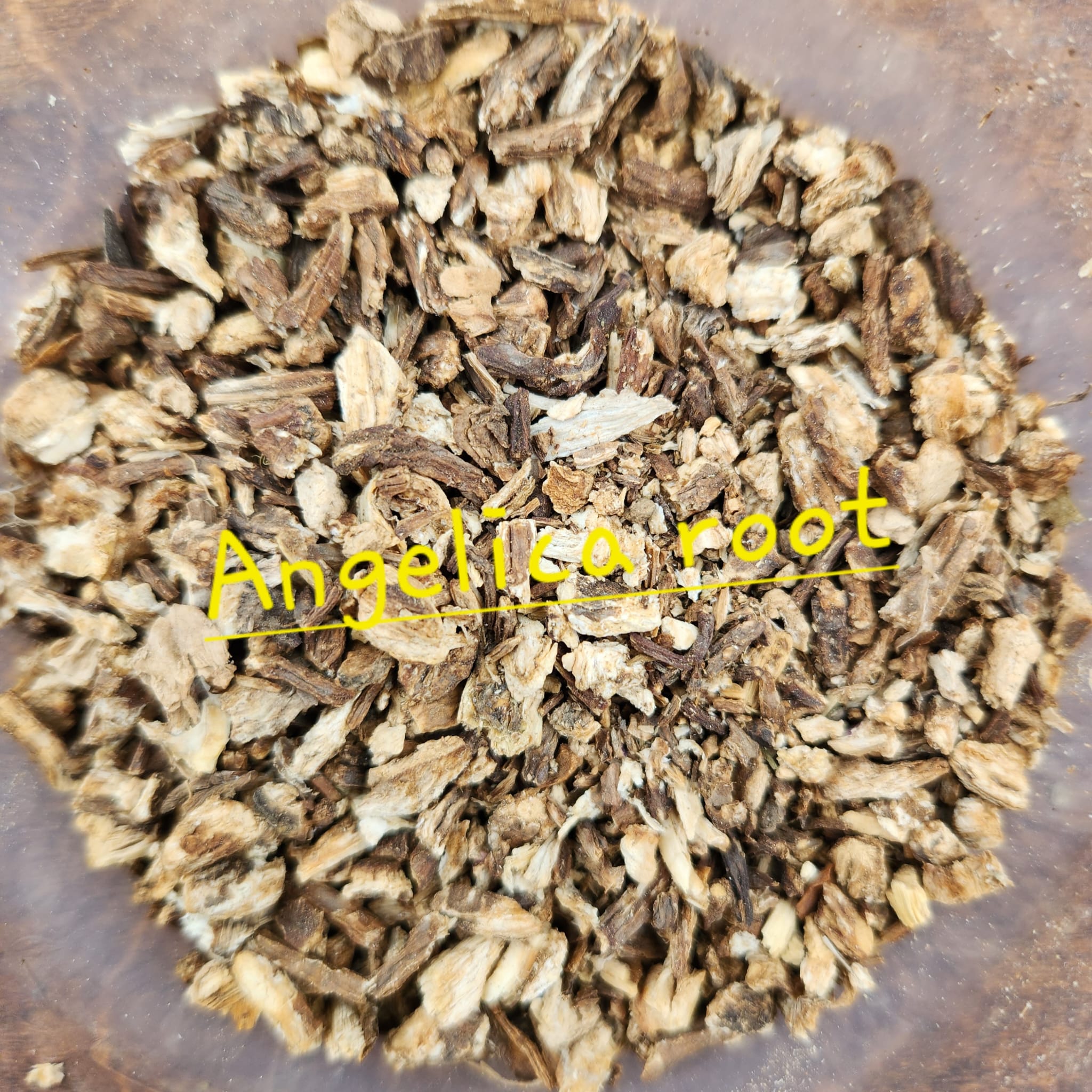 ANGELICA ROOT – NYC Herbs