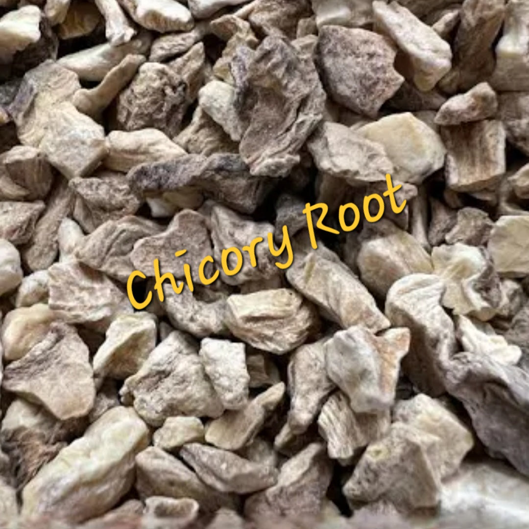 Chicory root – NYC Herbs
