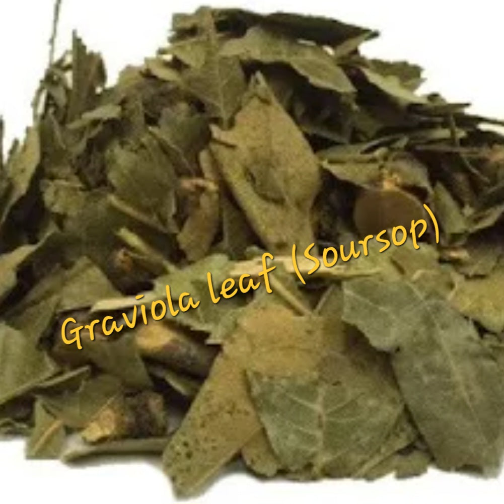 Graviola Leaf - Soursop – NYC Herbs