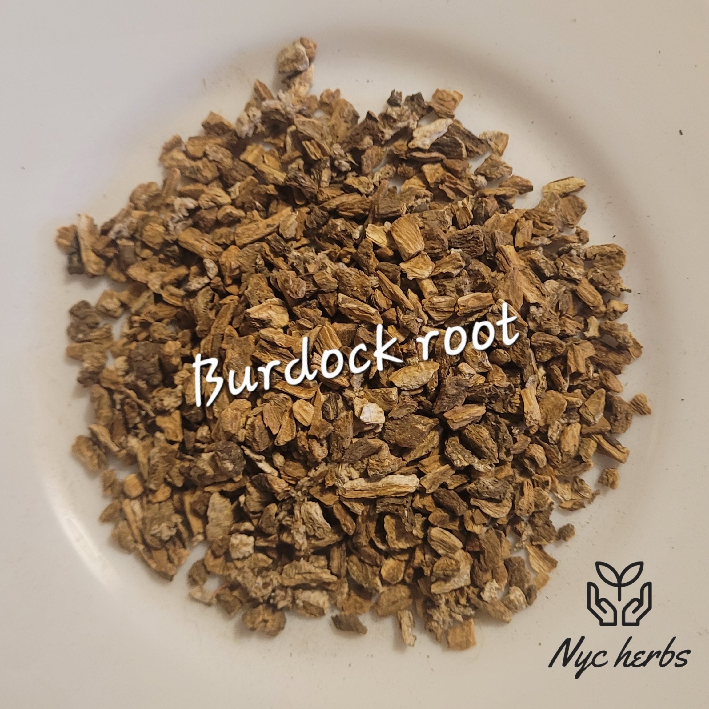 Burdock Root (Arctium lappa) – NYC Herbs